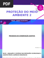 Modelo Pca - Programa de Conservação Auditiva | PDF | Audição ...