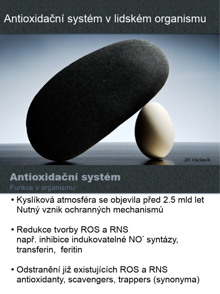 Antioxidant Systems in Human BodyCZ | PDF