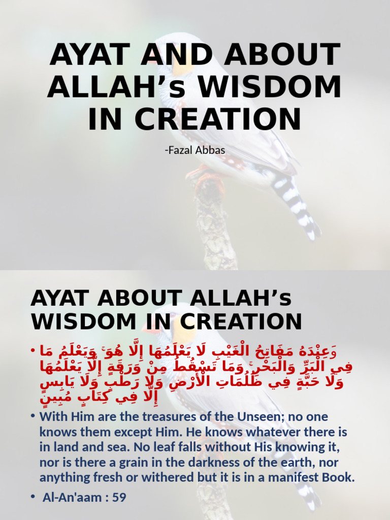 Ayat and About Allah's Wisdom in Creation | PDF