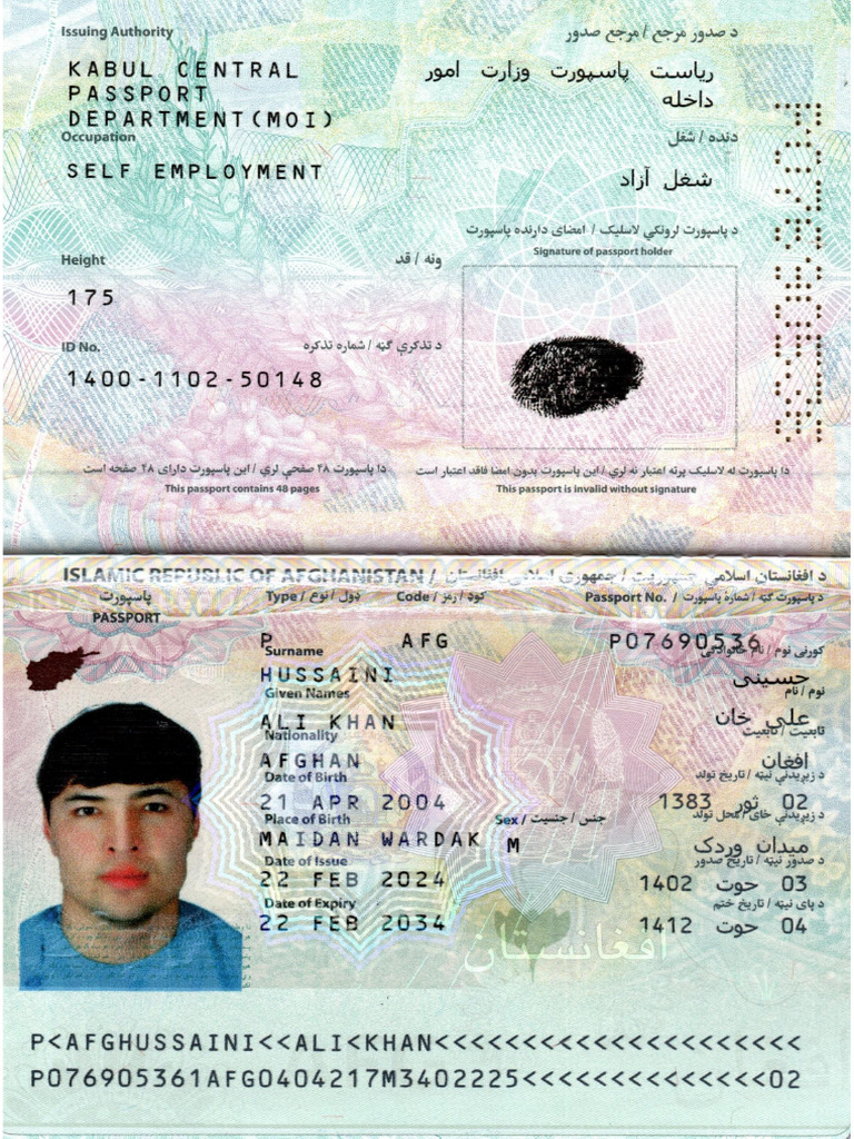 Ali Khan Copy of Passport | PDF