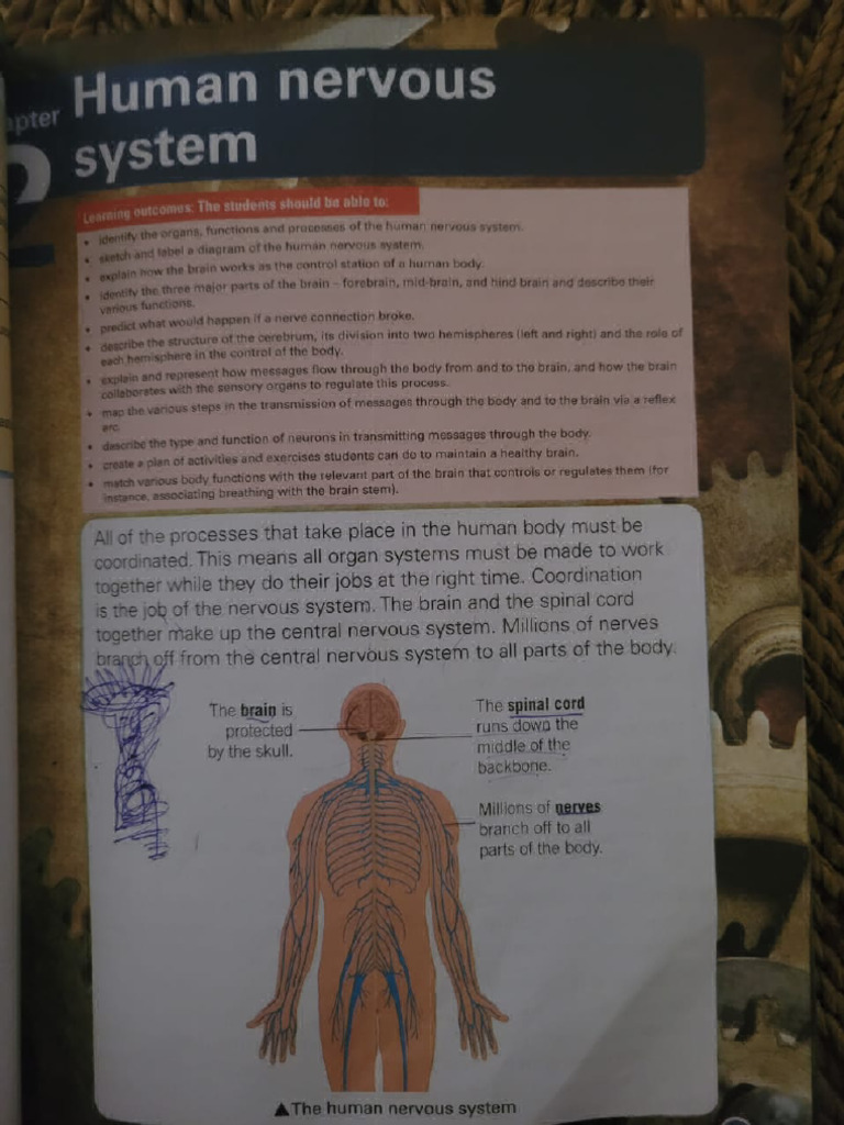 Class 8 Science Chapter 2 | PDF