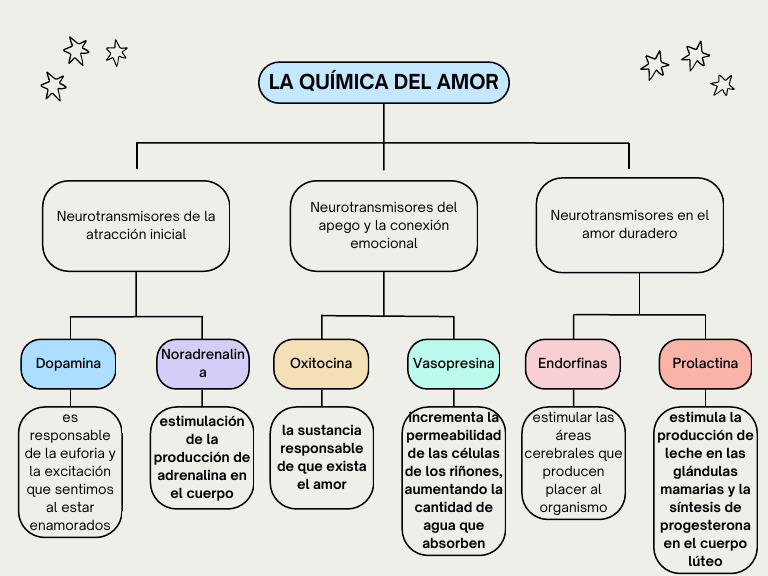 TAC2 | PDF