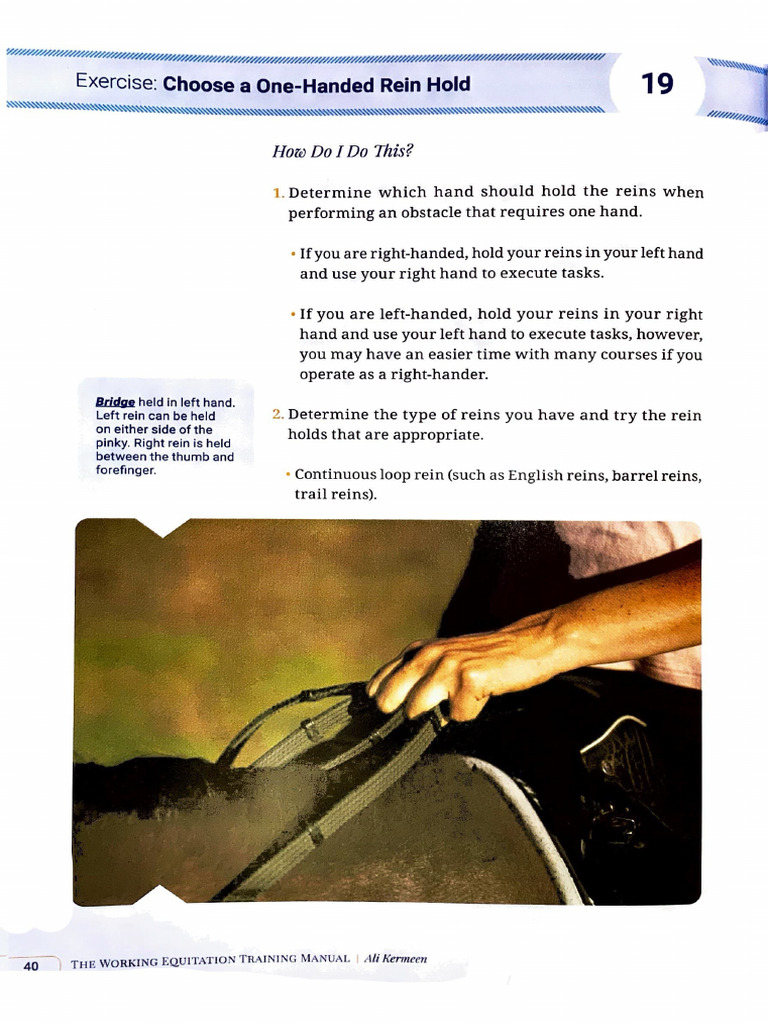 3 Equi | PDF | Equestrianism | Horses