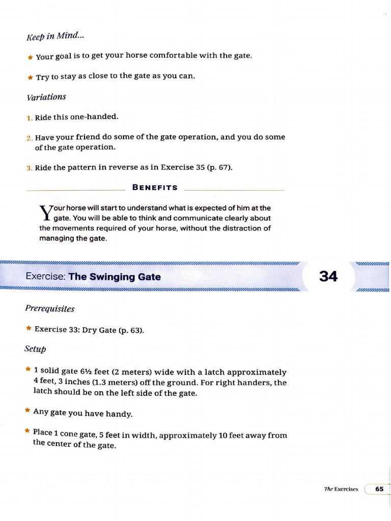 4 Equi | PDF | Horse Gait | Equus (Genus)