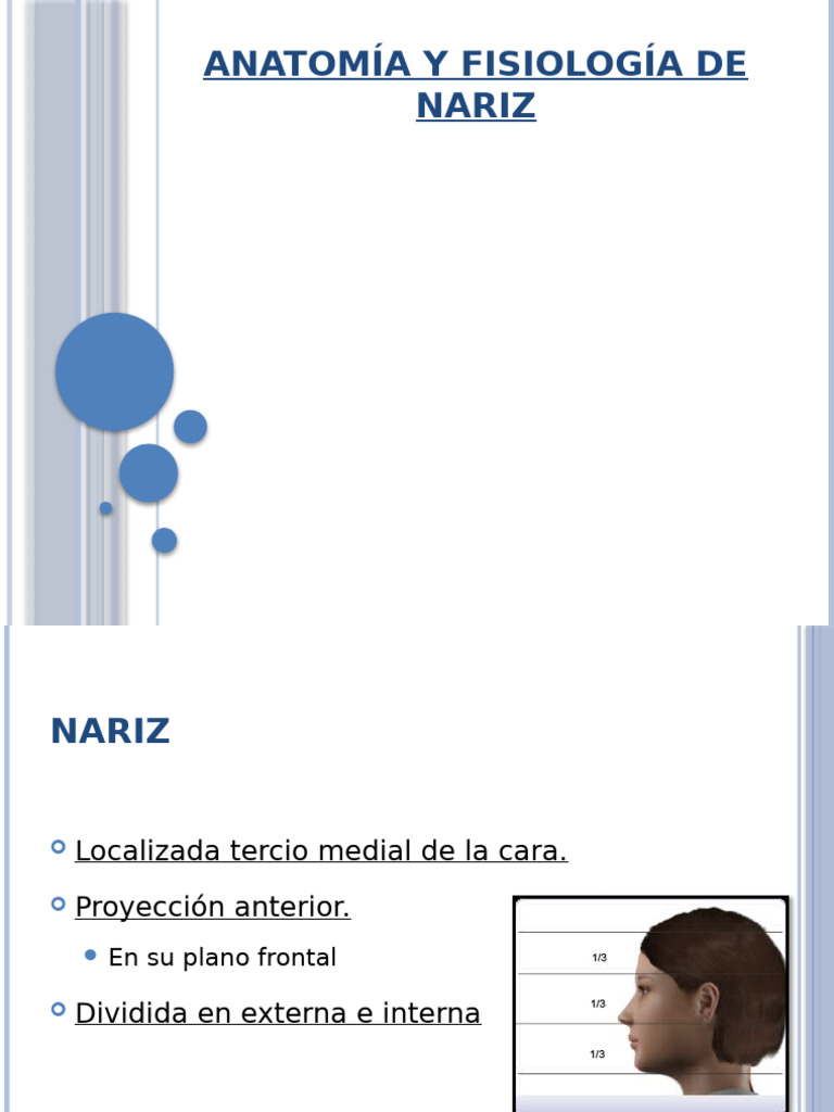 Anatomia y Fisiologia de Nariz | PDF | Nariz humana | Epitelio