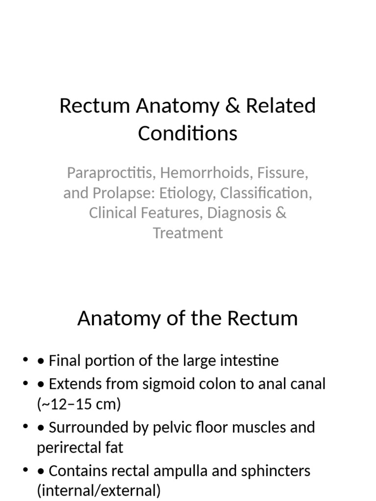 Comprehensive Rectal Disorders Presentation | PDF | Hemorrhoid | Rectum