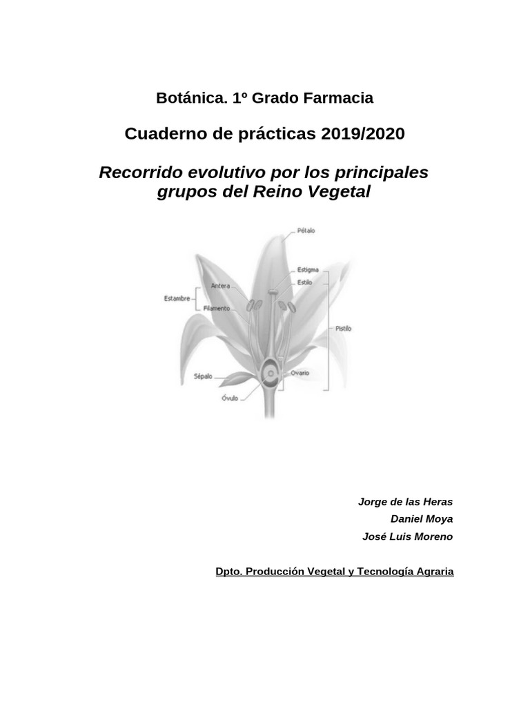 Libreta de Practicas BOTANICA Ángela Nieto Mateos | PDF | Botánica | Plantas