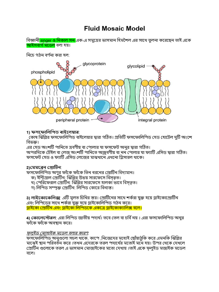 Fluid Mosaic Model | PDF