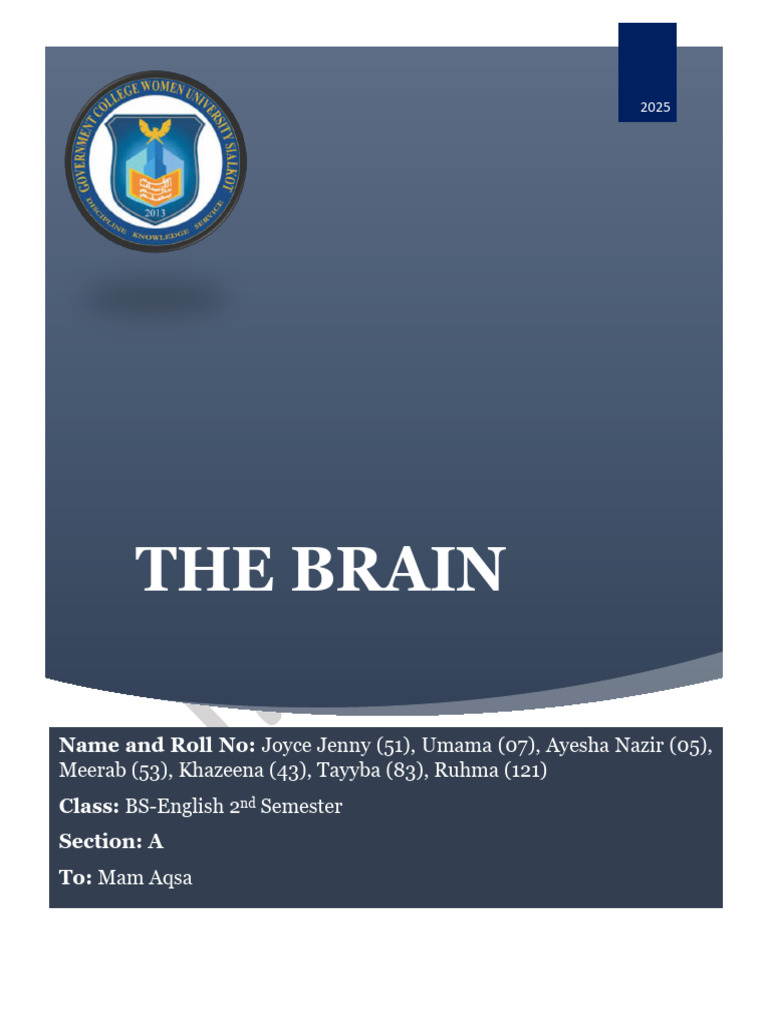 Inside Your Brain: A Simple Guide To Its Structure and Power | PDF ...