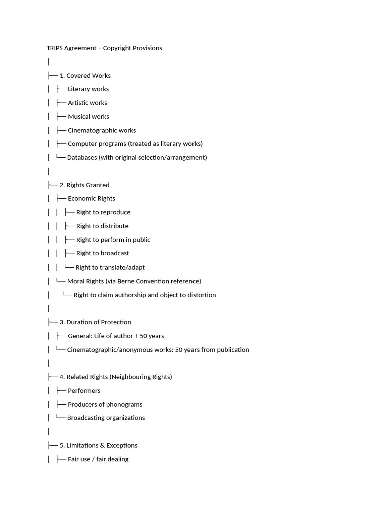 TRIPS Agreement: Copyright Overview | PDF