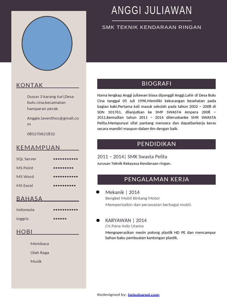 CV Anggi | PDF