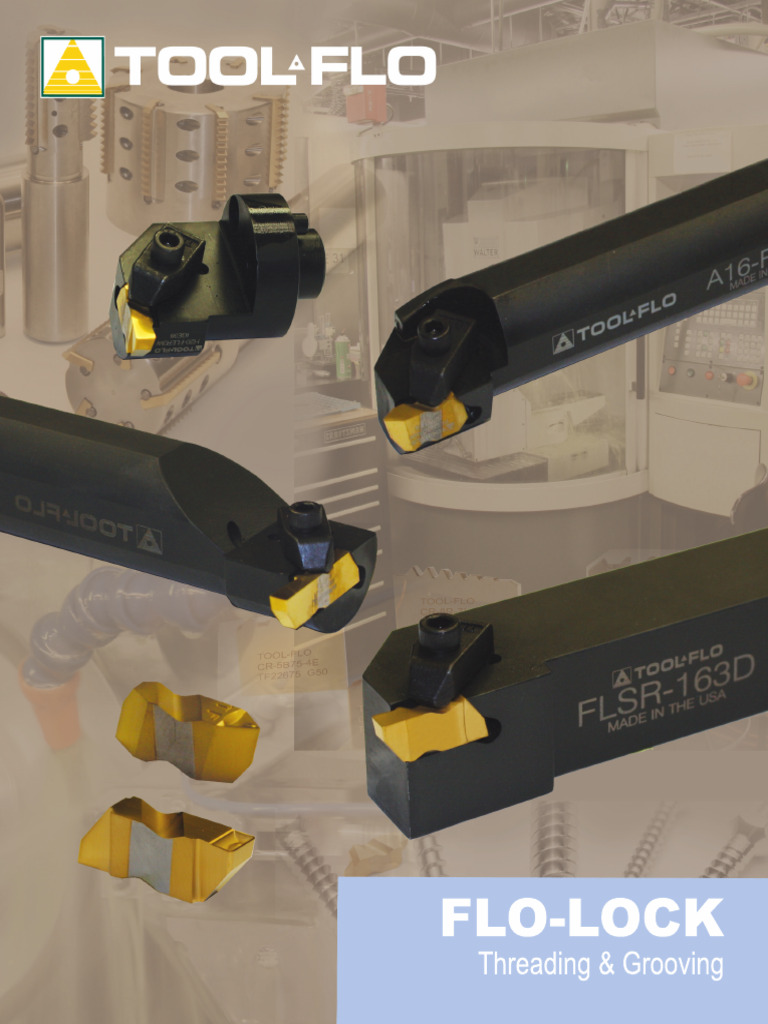 Flo Lock | PDF | Iron | Transition Metals