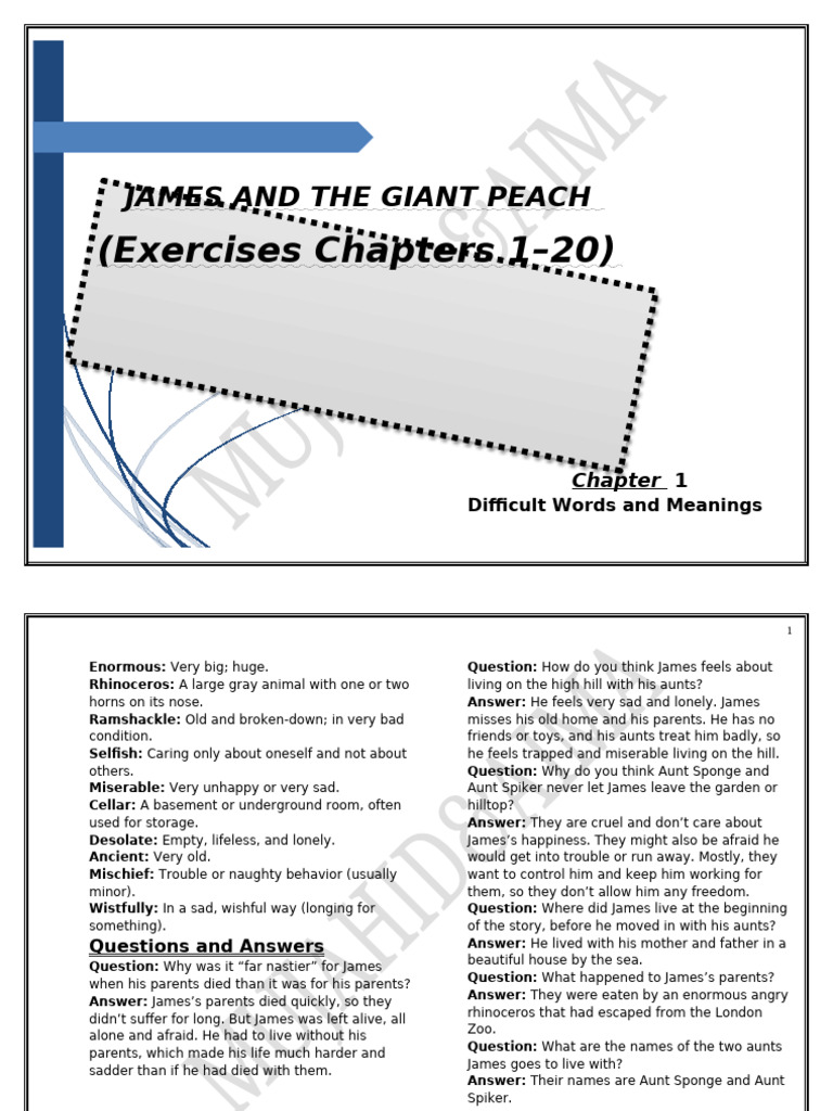 Ch1-20 - Excercise Complete 2 Pages Per Sheet | PDF