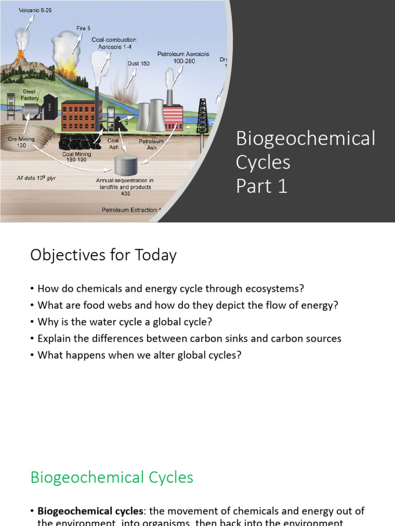 Biogeochemical Cycles | PDF | Food Web | Climate Change