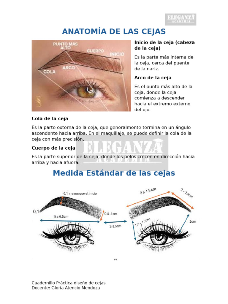 Cuadernillo de Practica Cejas | PDF