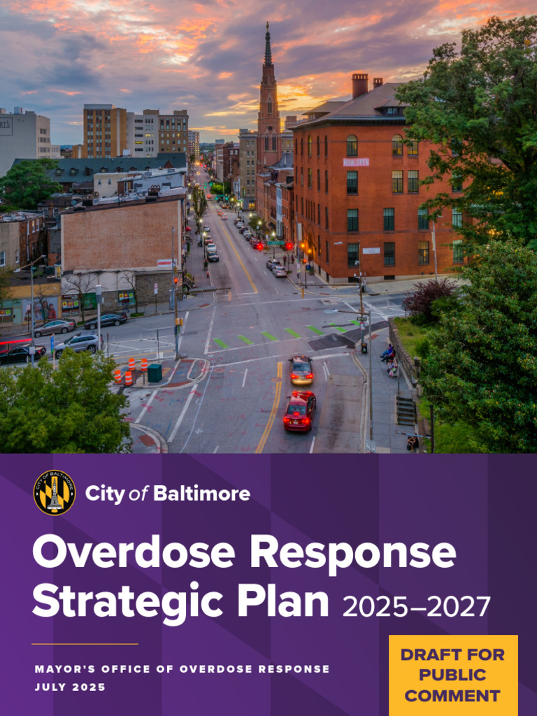 City Overdose Response Strategic Plan | PDF | Substance Use Disorder ...