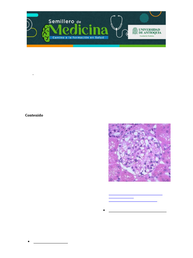 Guía de Microscopía en Salud | PDF | Microscopio | Óptica