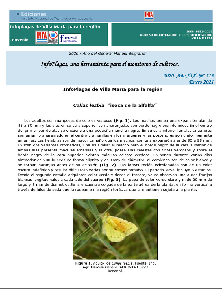 Monitoreo de la Isoca de la Alfalfa | PDF | Color | Insectos