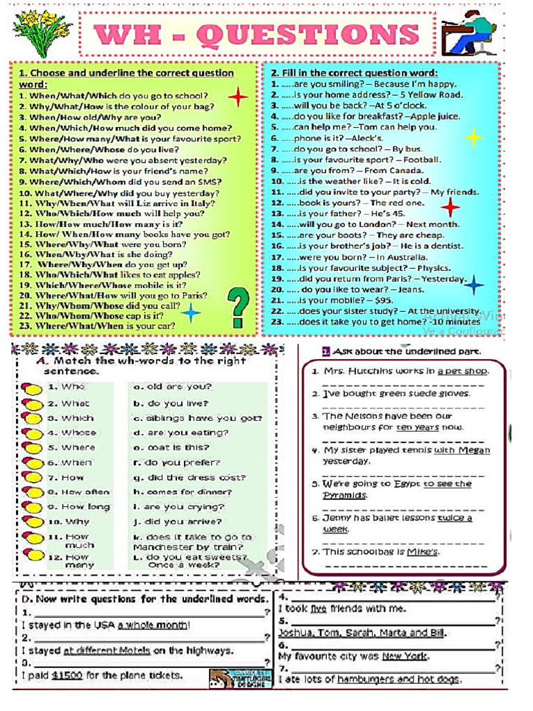 WH Questions Exercise | PDF