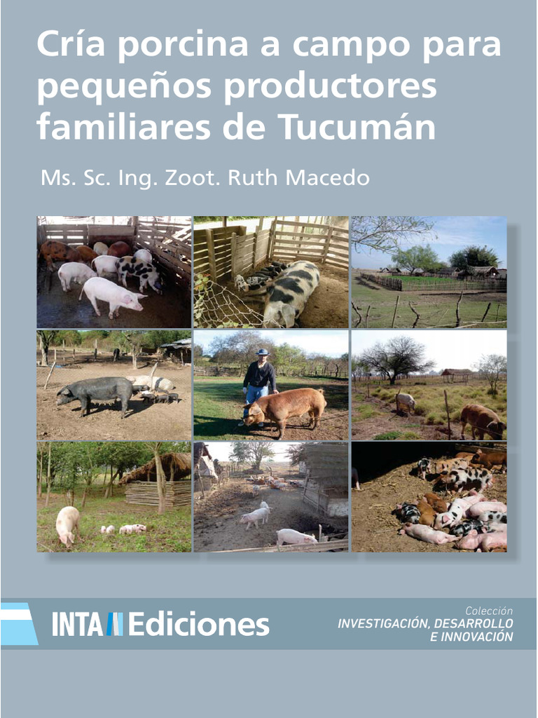 Cría Porcina Familiar en Tucumán | PDF | Alimentos | Cereales