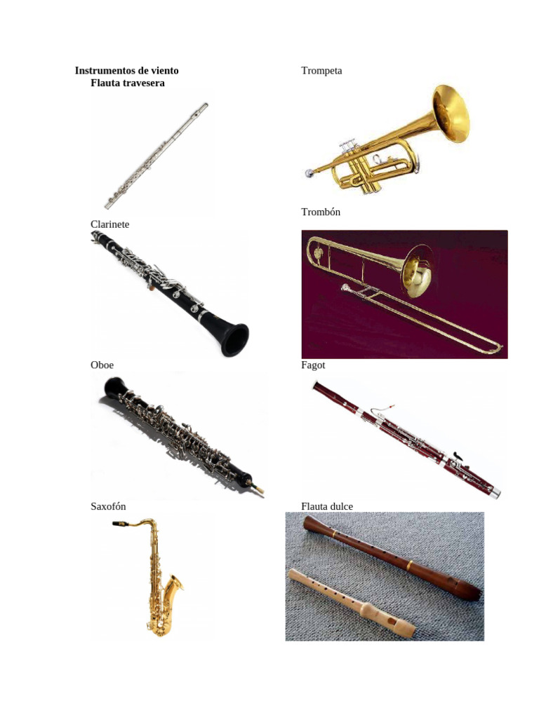 Instrument Os | PDF