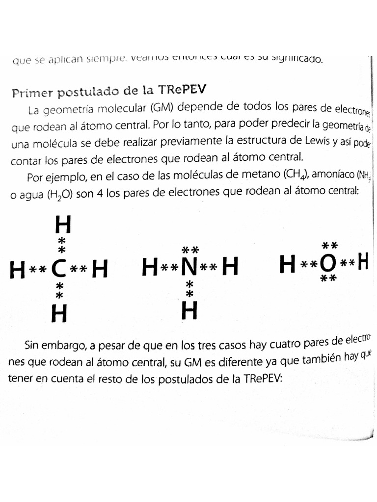 Nuevo Documento | PDF