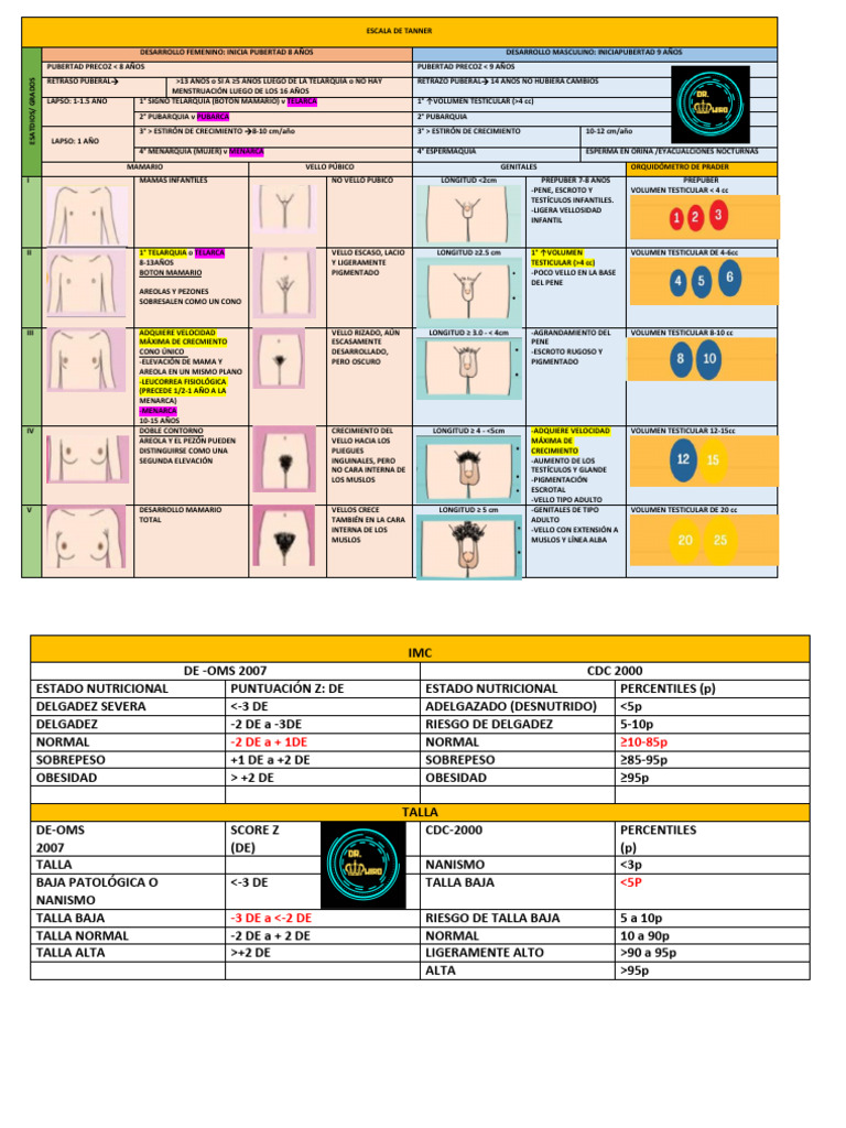 Escala de Tanner | PDF | Pubertad | Órgano (anatomía)