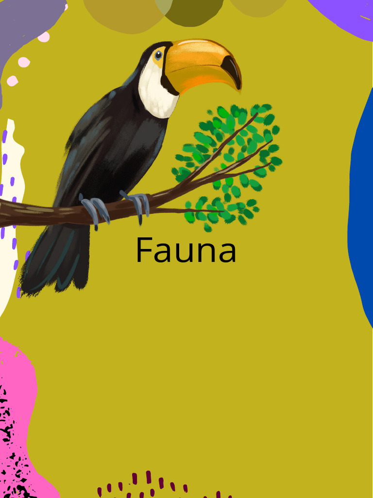 Fauna | PDF