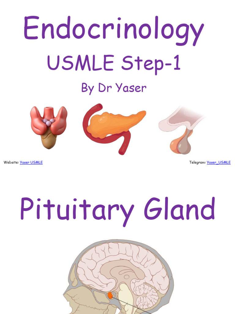 Endocrinology Dr Yaser USMLE 2025 | PDF | Adrenal Gland | Cortisol
