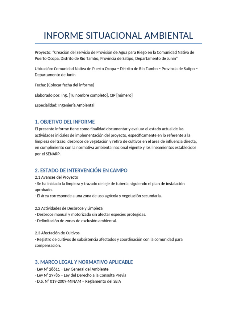 Informe Situacional Ambiental Puerto Ocopa | PDF | Evaluación de impacto ambiental | Ambiente