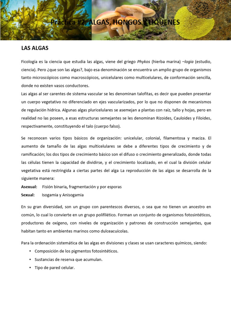 Práctica - 2. - Algas, - Hongos, - Liquenes 2025 | PDF | Algas | Hongo