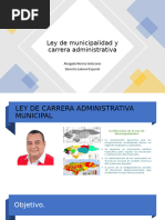 LEY-18883 Actualizada A 31 Julio 2024 | PDF | Licenciatura | Alcalde
