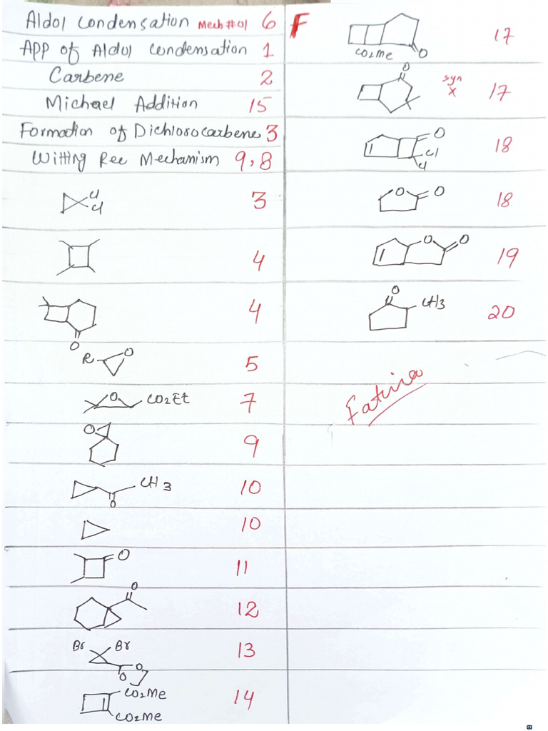 Ms ANEELA Fatima Work | PDF