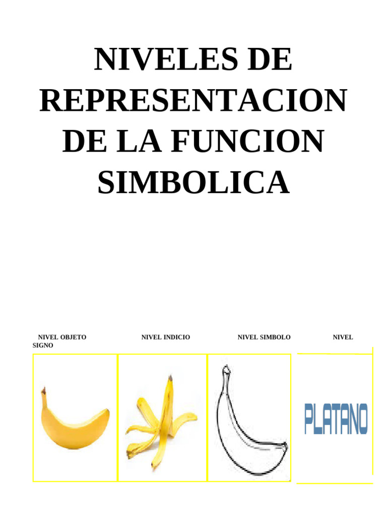 Niveles de Representación Simbólica | PDF