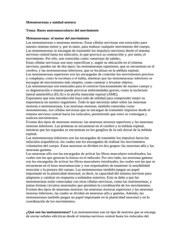 Motoneuronas: Funciones y Tipos Esenciales | PDF | Neurona motora | Neurona
