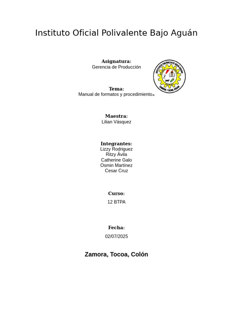 Manual de Formatos y Procedimientos | PDF | Business | Información