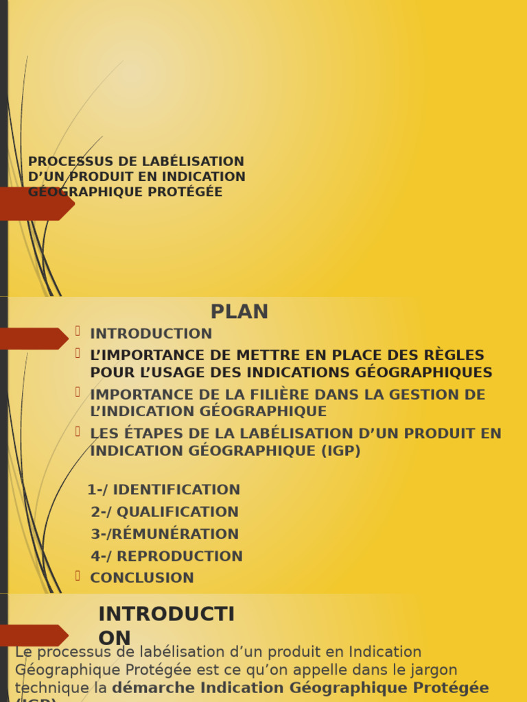 Labélisation des Produits IGP : Guide Complet | PDF | Développement ...