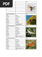 Allobates niputidea: Especie Única | PDF | Taxonomía (biología) | Género