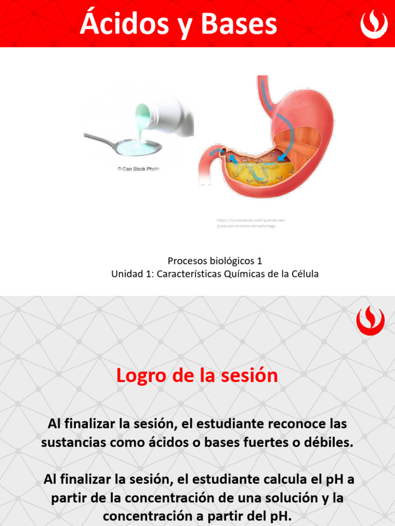 TE02 Ácidos y Bases | PDF | Ácido | Ph