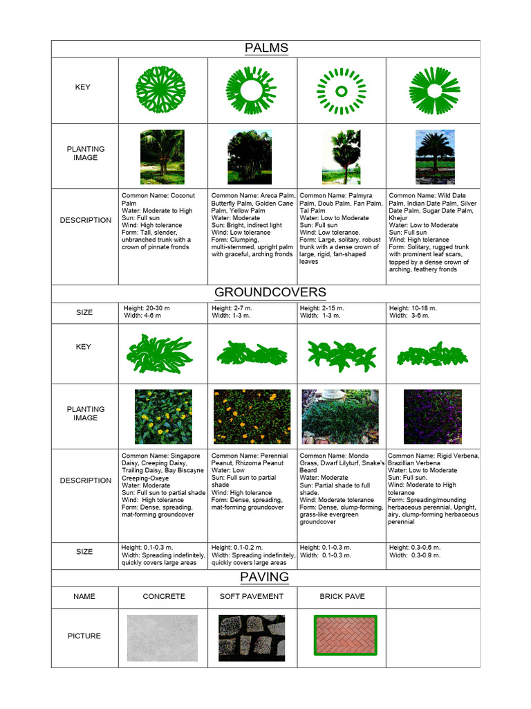 Tree Plantation Chart Overview | PDF | Arecaceae | Plants