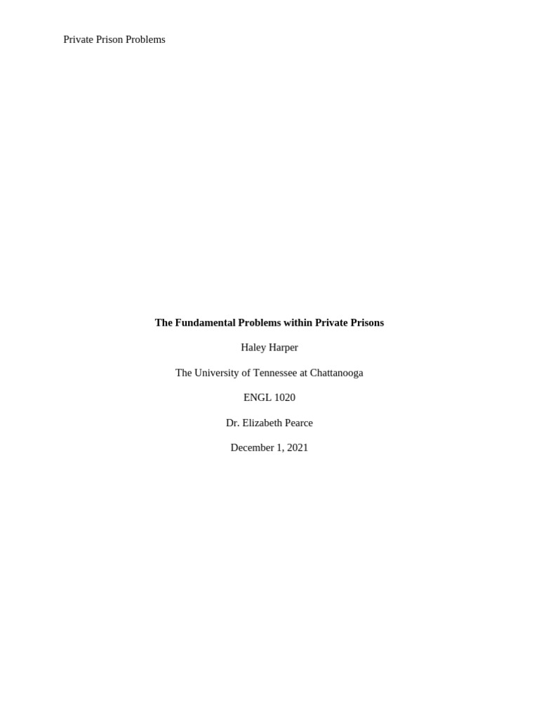 Issues with Private Prisons in America | PDF | Prison | Private Prison