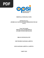 Proposal Penelitian OPSI 2024 | PDF