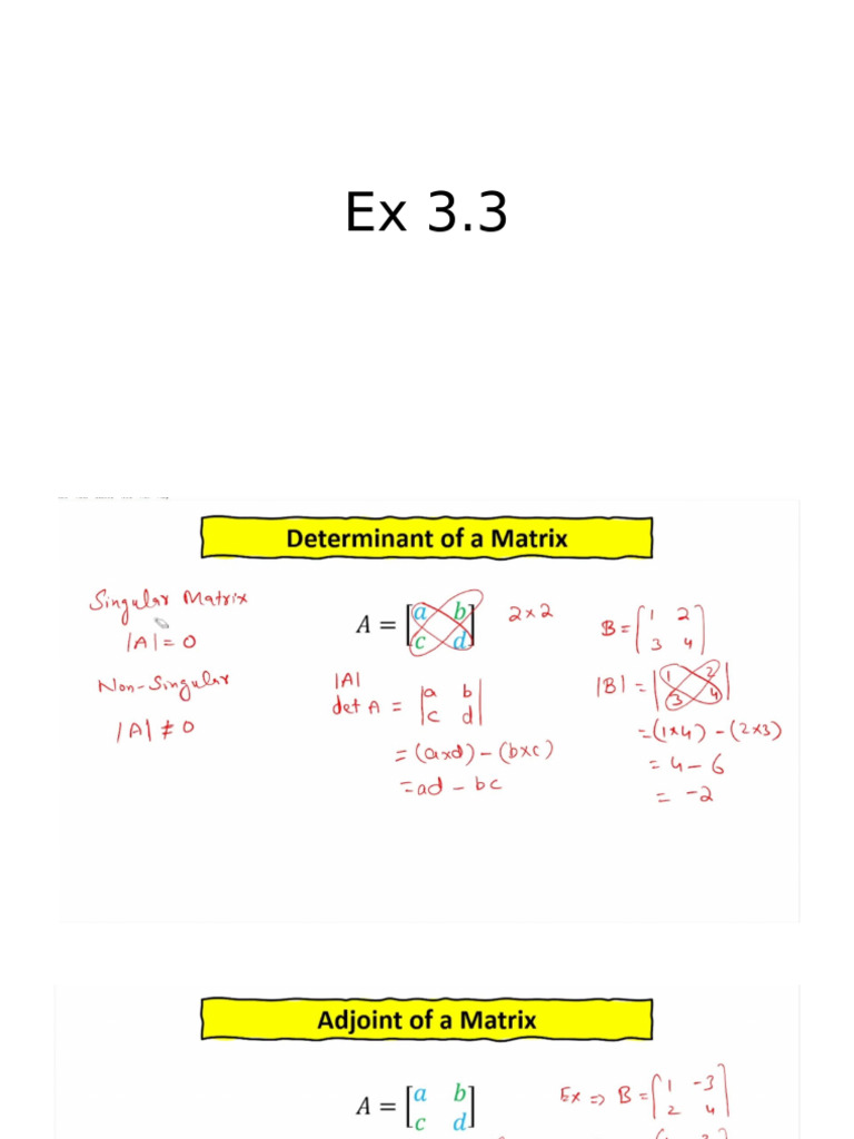 Matrix Determinants and Inverses Explained | PDF