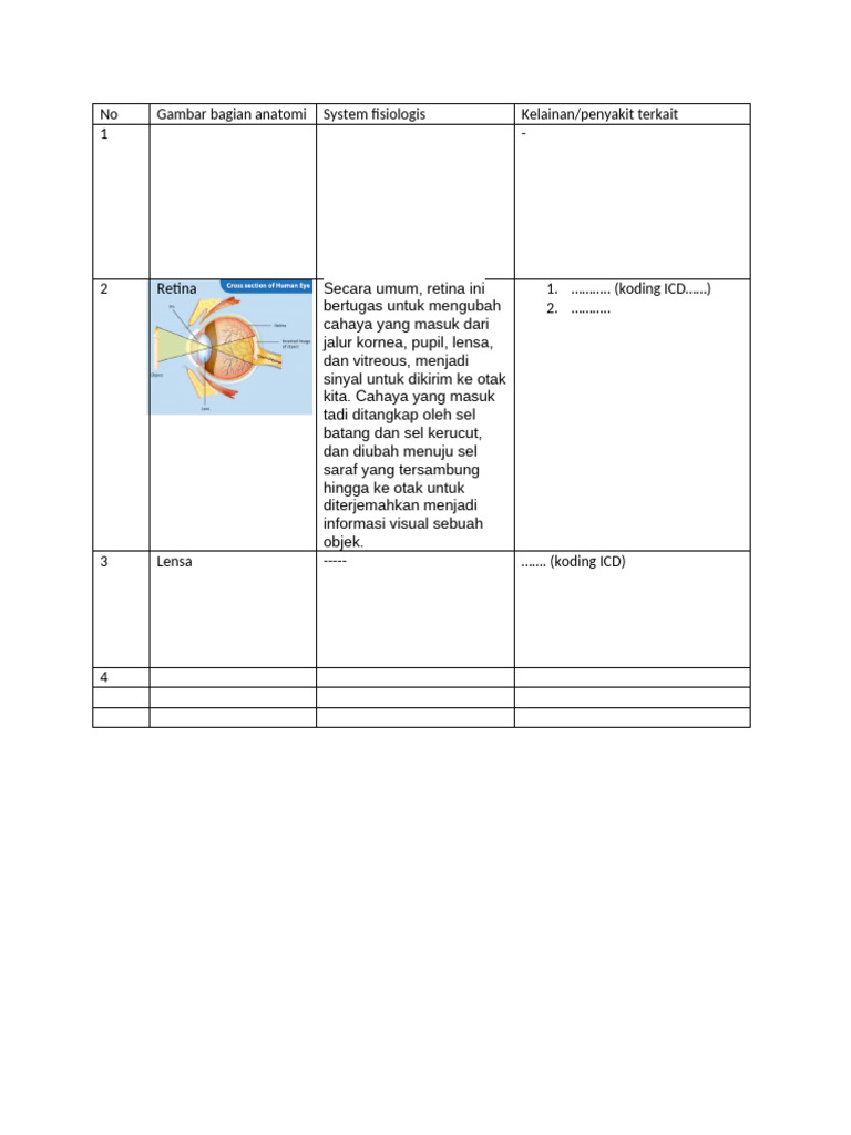 Contoh Tugas Anatomi | PDF