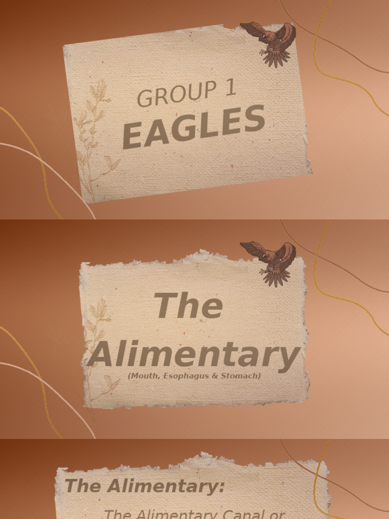 Group 1 | PDF