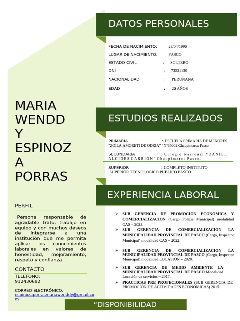 Cv. Maria E. Porras. | PDF