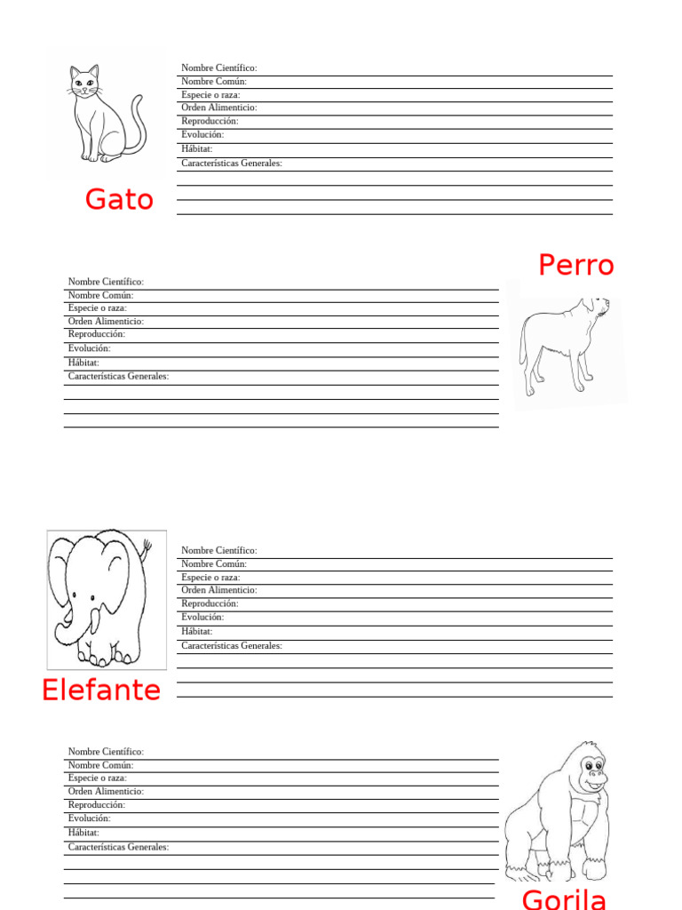 Album Animales Vertebrados | PDF | Biología | Zoología