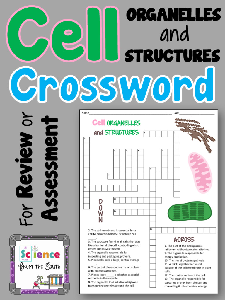 Cell Organelles Crossword Assessment | PDF | Endoplasmic Reticulum ...