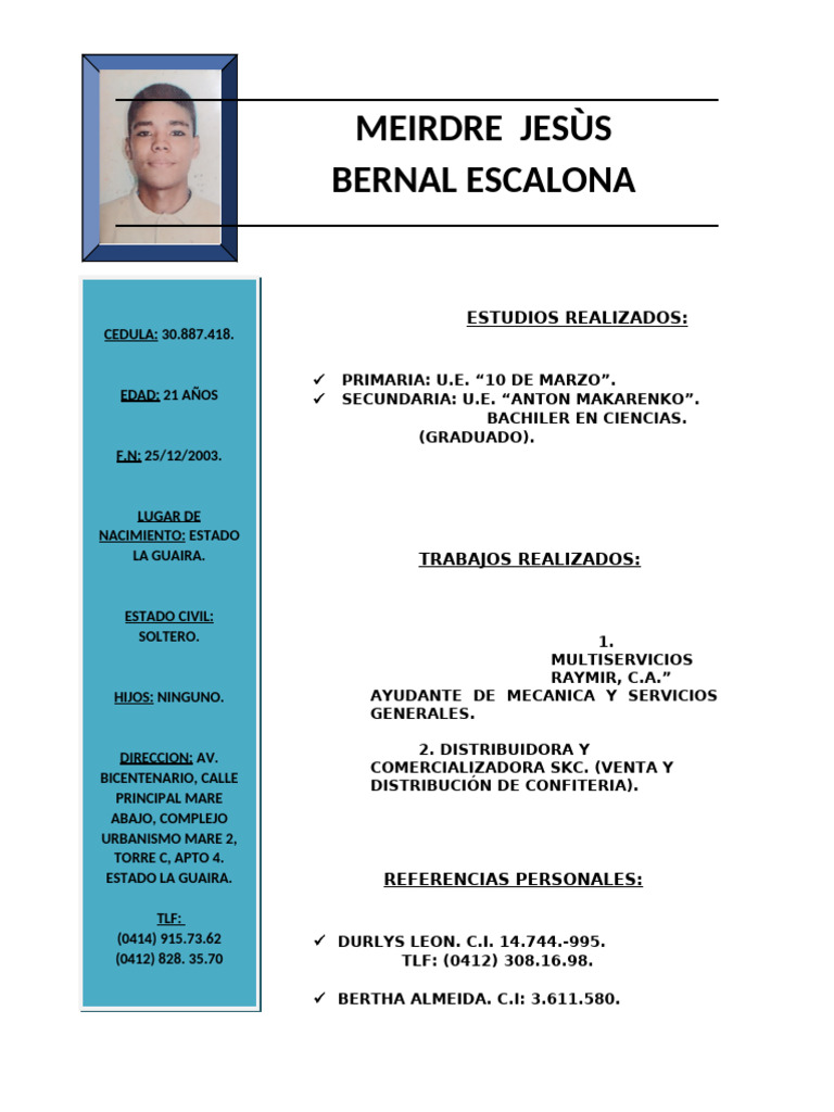 Curriculum de Jesus Bernal | PDF