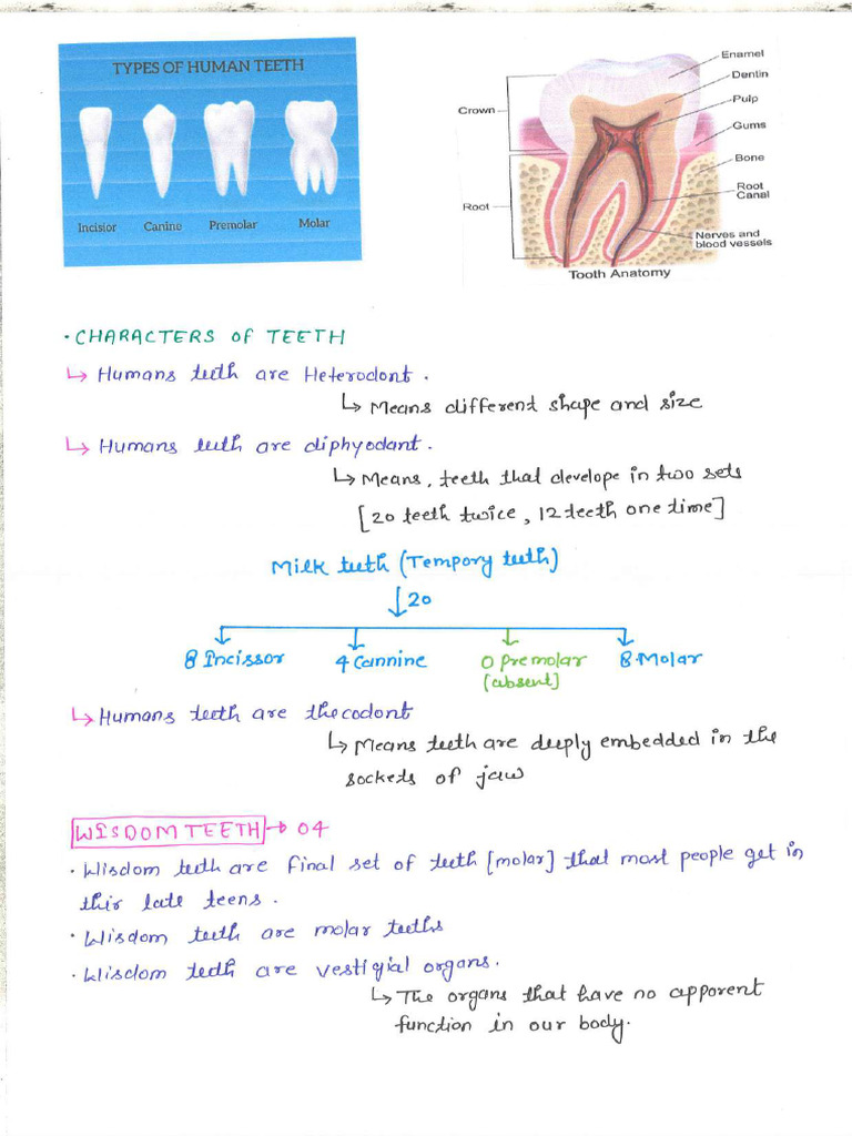 Complete Biology Notes (English Medium) Part-2 | PDF